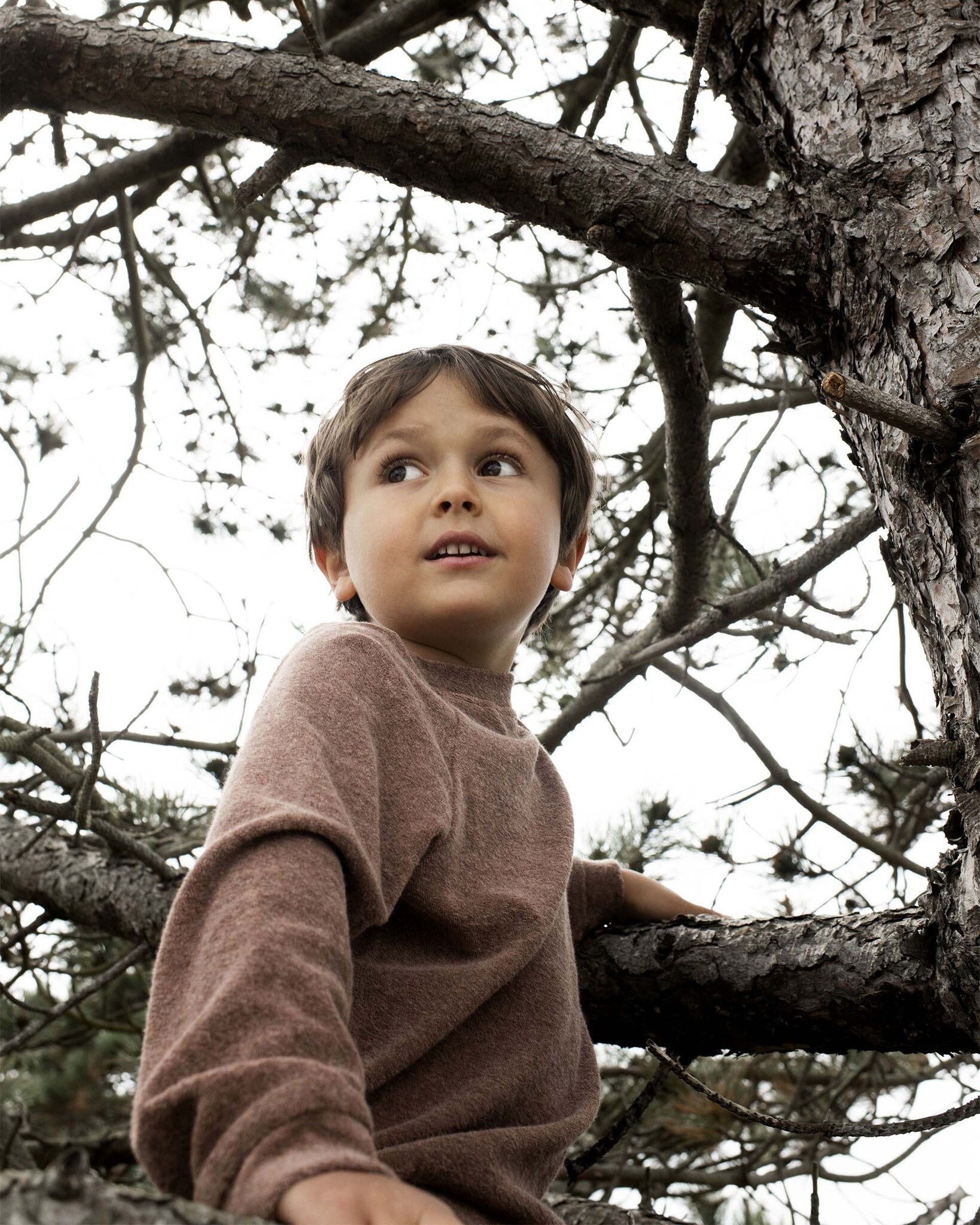 Serendipity Sweater terry cotton - acorn - Ziloen