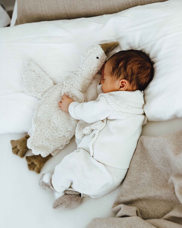 Senger Naturwelt Organic Goose Heating Cuddle Small: So soft! | Ziloen ...