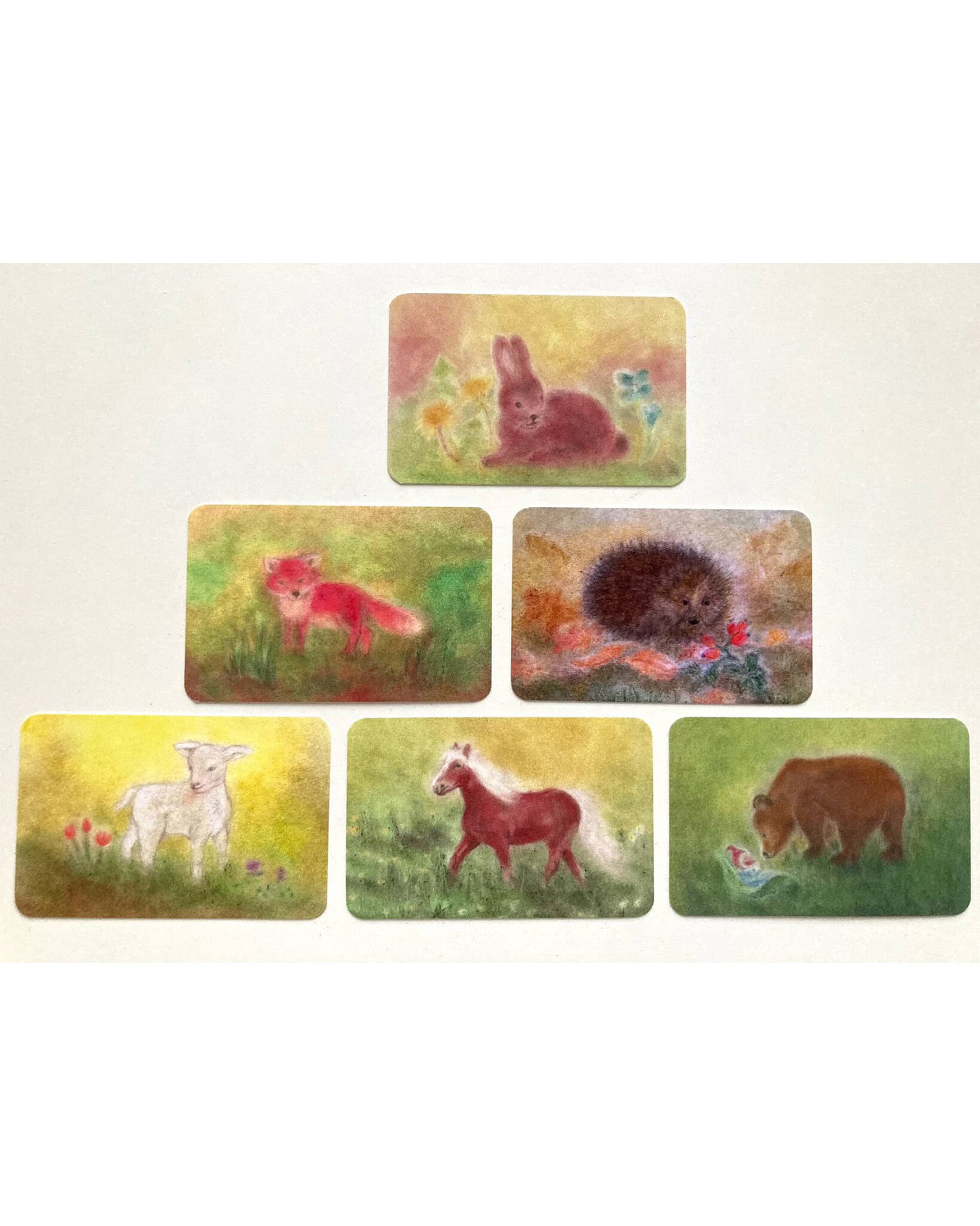 Seccorell animal cards set - 6 pieces | Ziloen - Ziloen