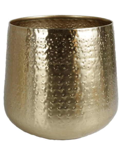 Leuke Bloempotten? | Voor Kamerplanten - Fleurdirect