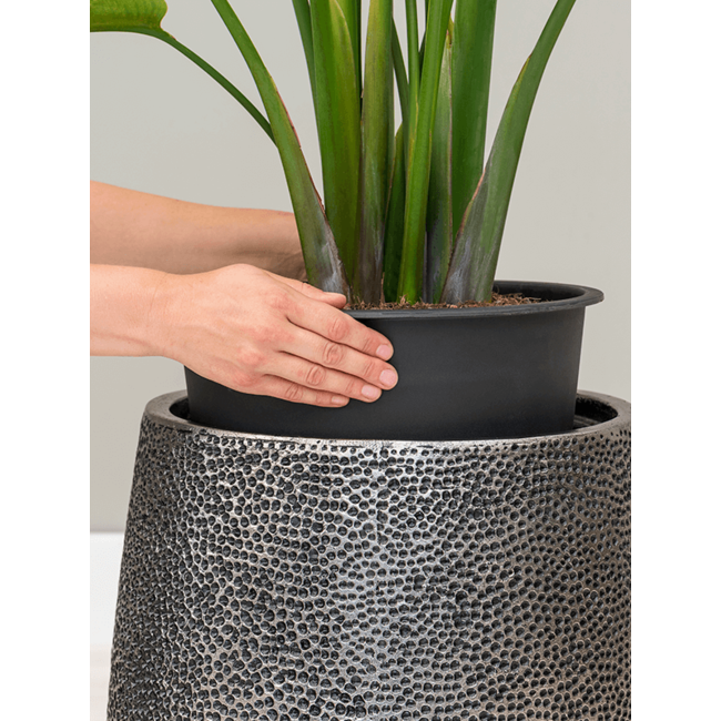 Jouw Pot Opus Darcy M Kopen? - Fleurdirect