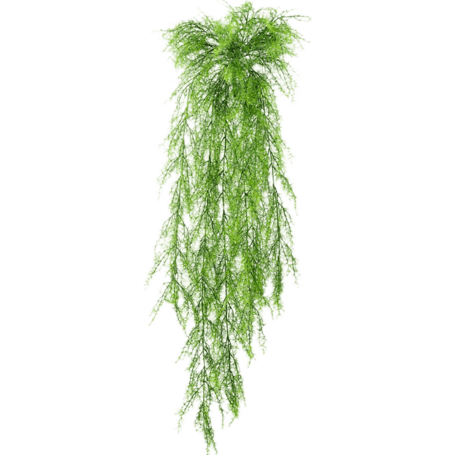 Springeri | Snelle levering | Fleurdirect - Fleurdirect