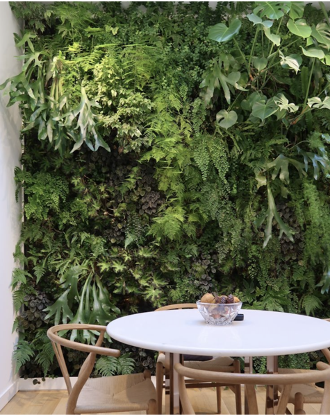 Levende plantenwand - Fleurdirect