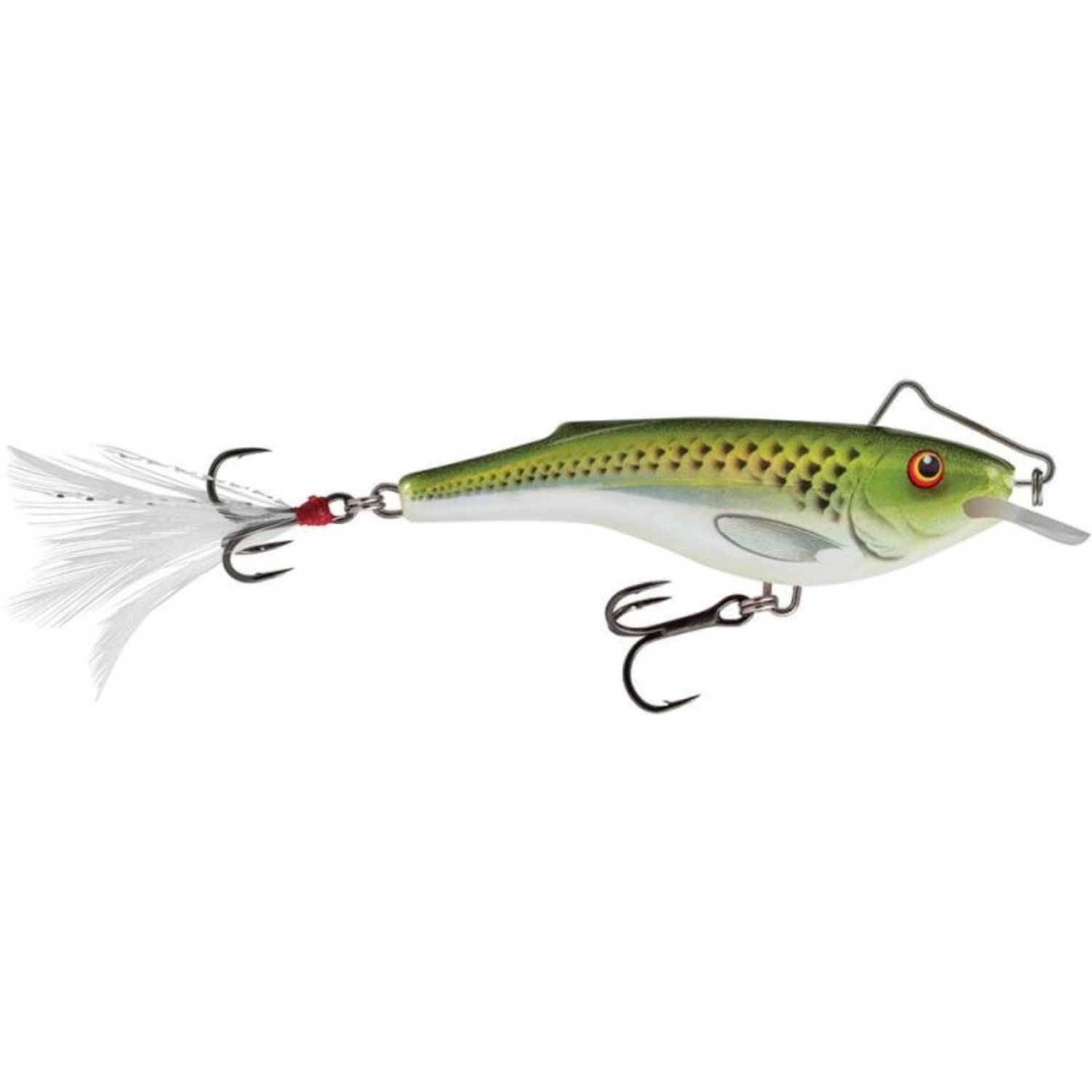 Salmo Sinking Rail Shad (6cm - 14g) - Reniers Fishing