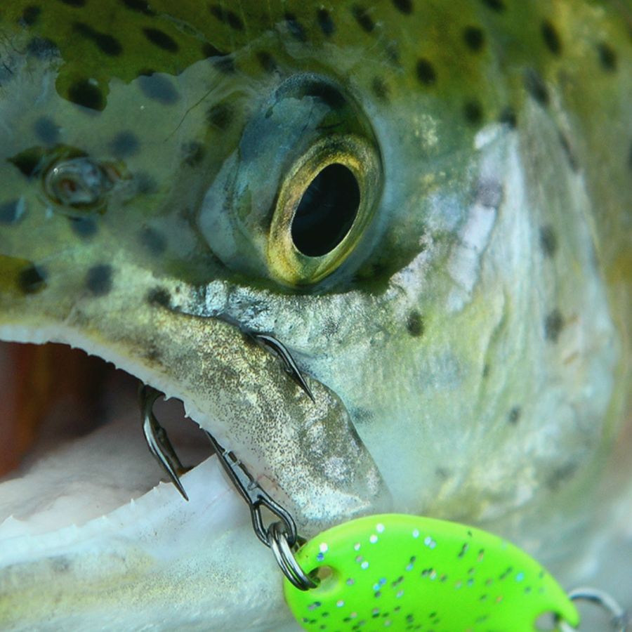 Catalogus - Reniers Fishing