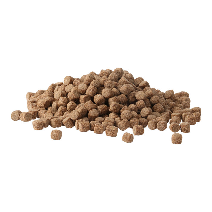 Aas & Voer - Expanders - Reniers Fishing - Reniers Fishing