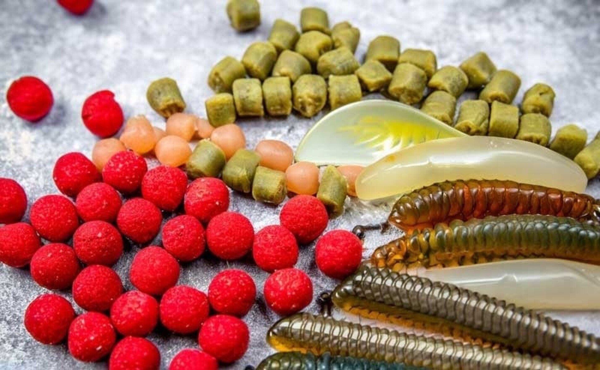 Pêche à la ligne - Nourriture et appâts - Le guide ultime - Reniers Fishing