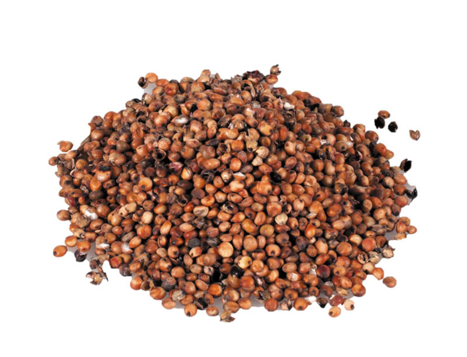 Reniers Fishing Rode Millocorn 1 Kilo - Reniers Fishing