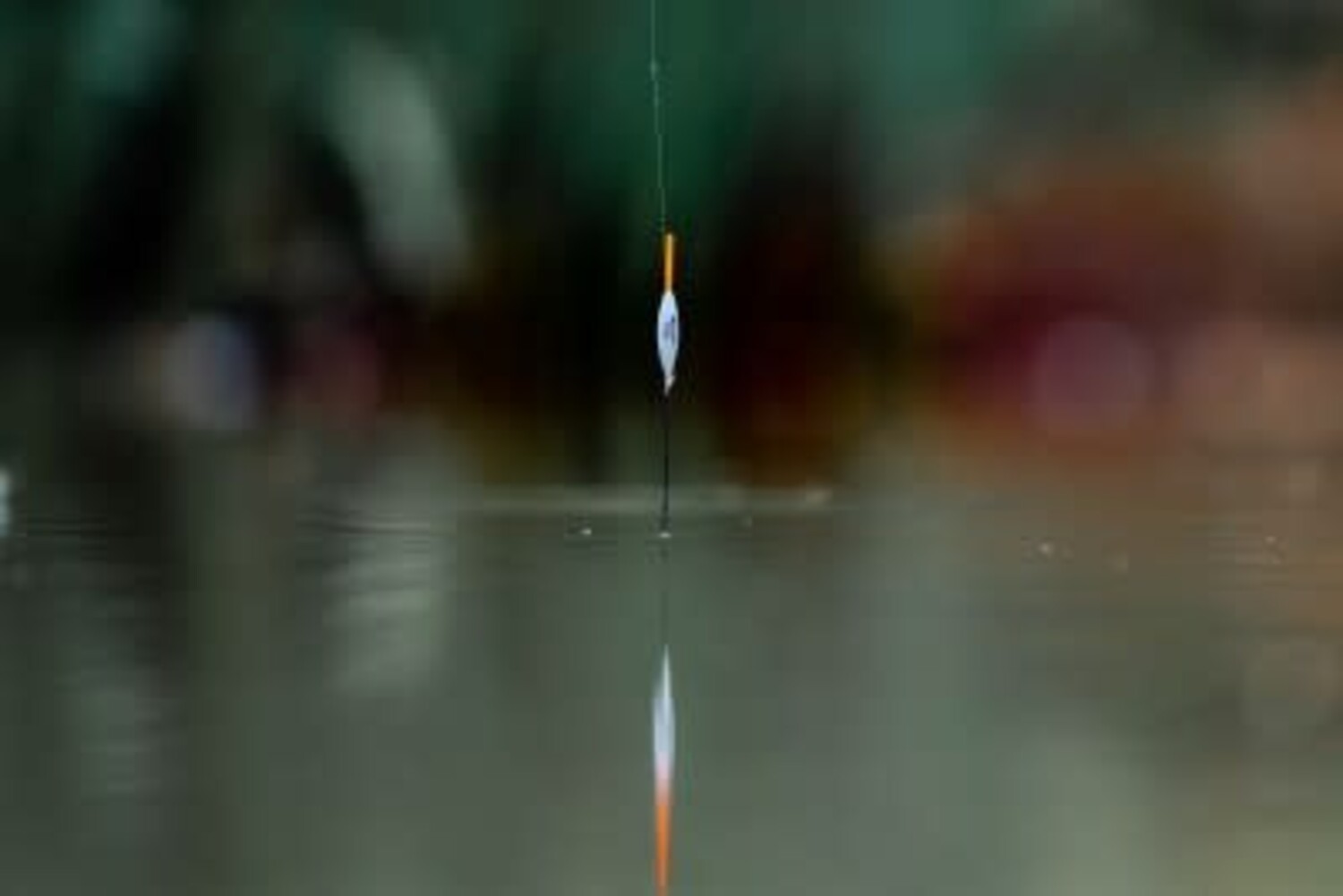 Guru Pole Float Carbon Bobbie - Reniers Fishing