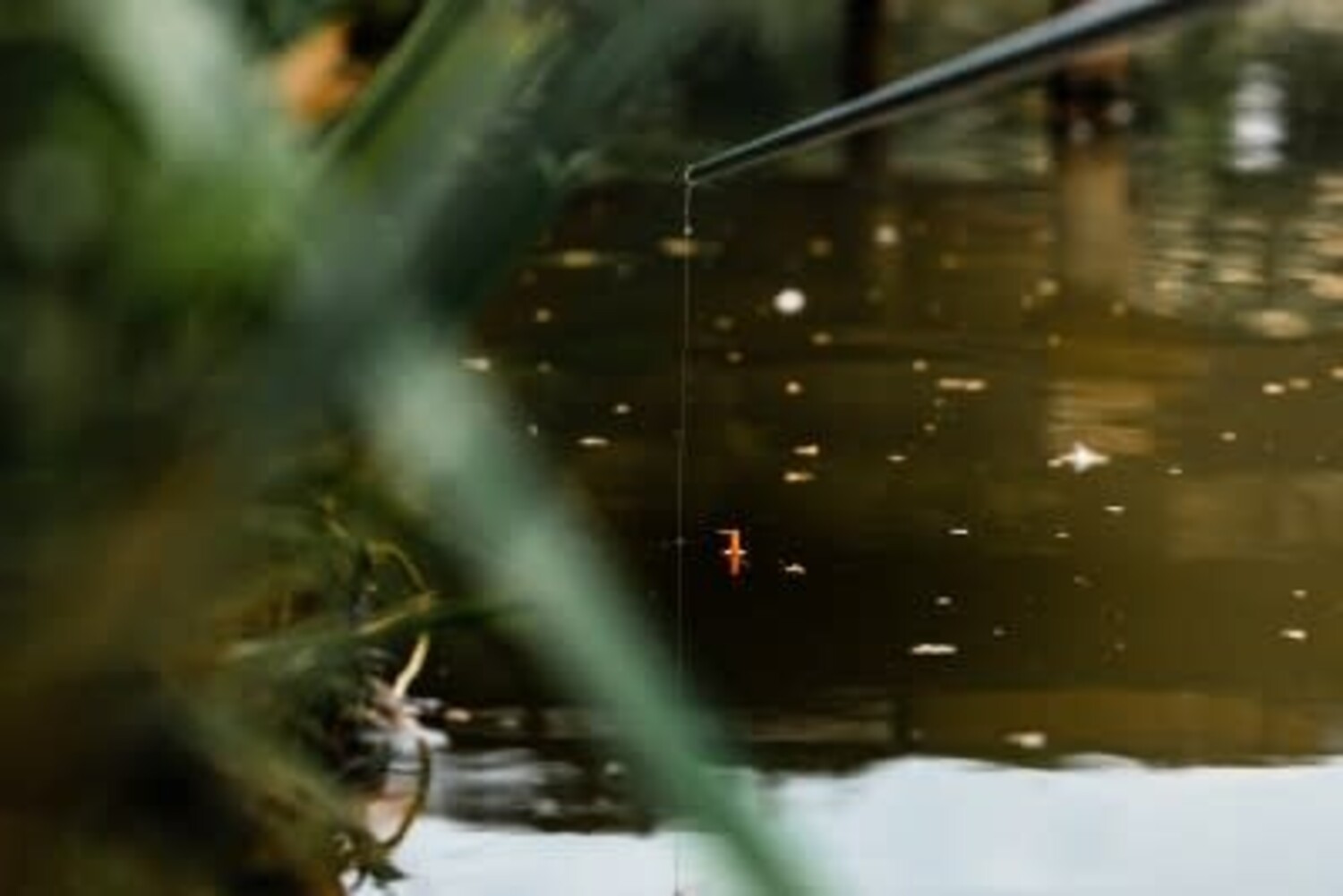 Guru Pole Float Bagger - Reniers Fishing