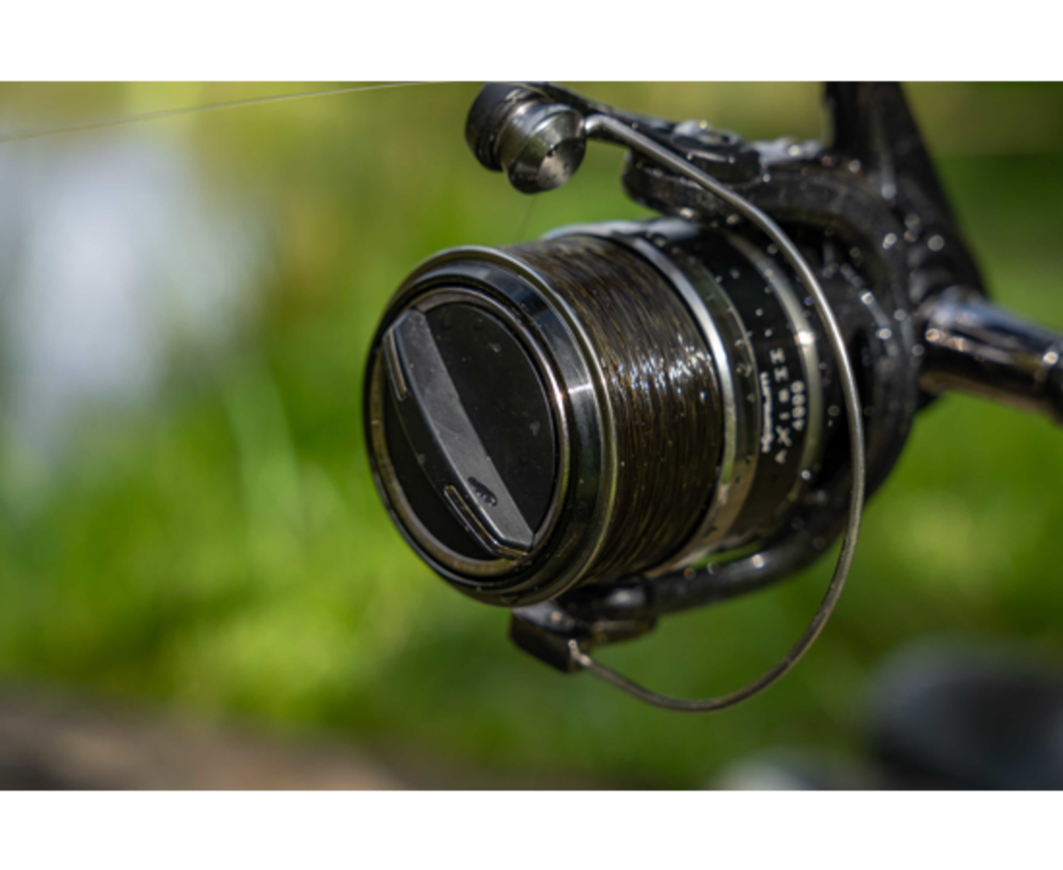 Korum Axis II Front Drag Reel - Reniers Fishing