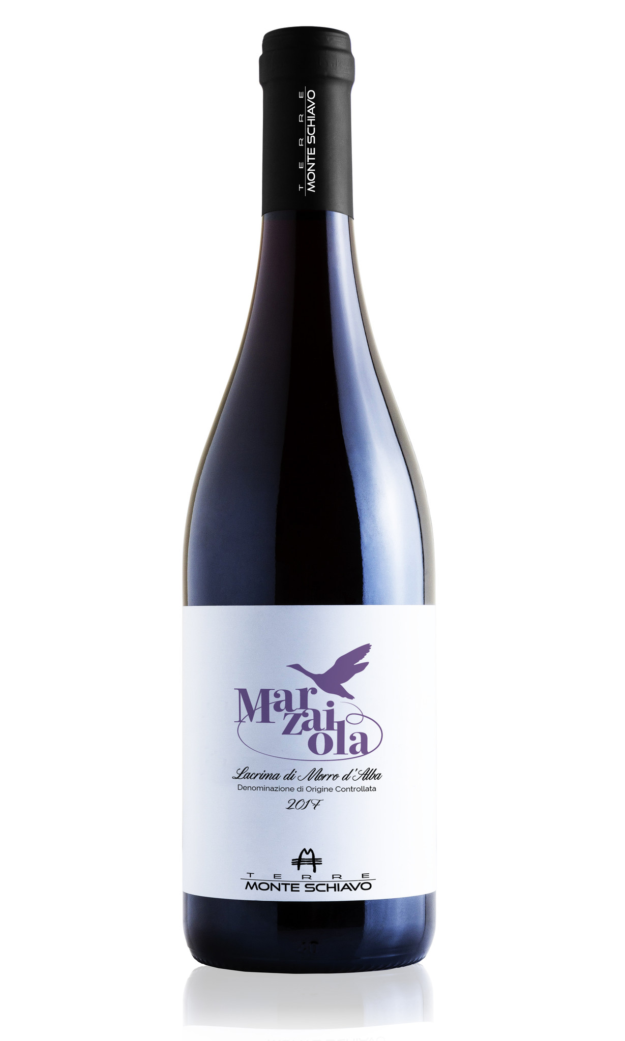 Marzaiola Lacrima Di Morro D'alba DOC 75cl 2023 - Raineri