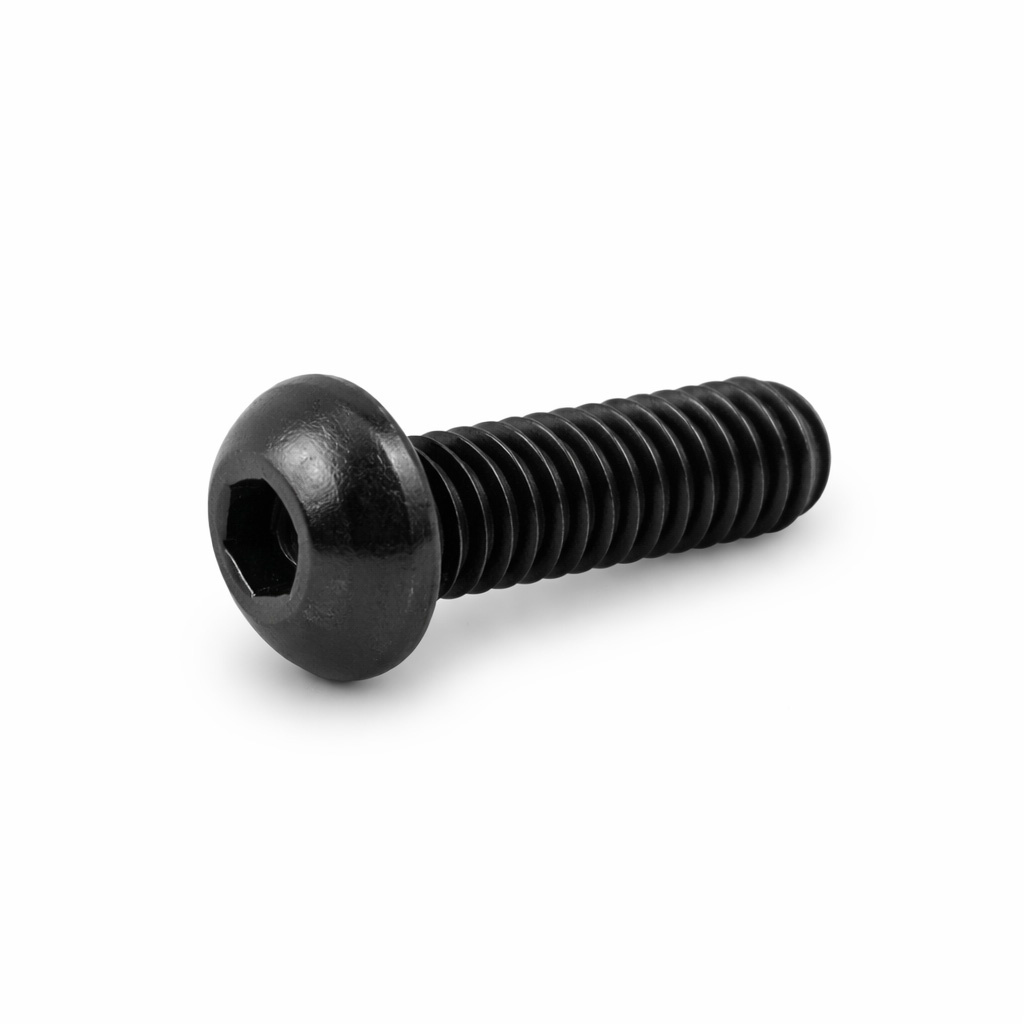 Zwarte bolkop inbusschroef M5 - 12 mm - alles voor uw trapleuning!