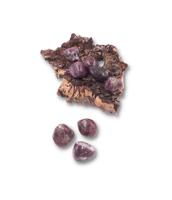 Toermalijn Rood - Rubelliet trommelsteen - Ananda Nieuwetijdswinkel