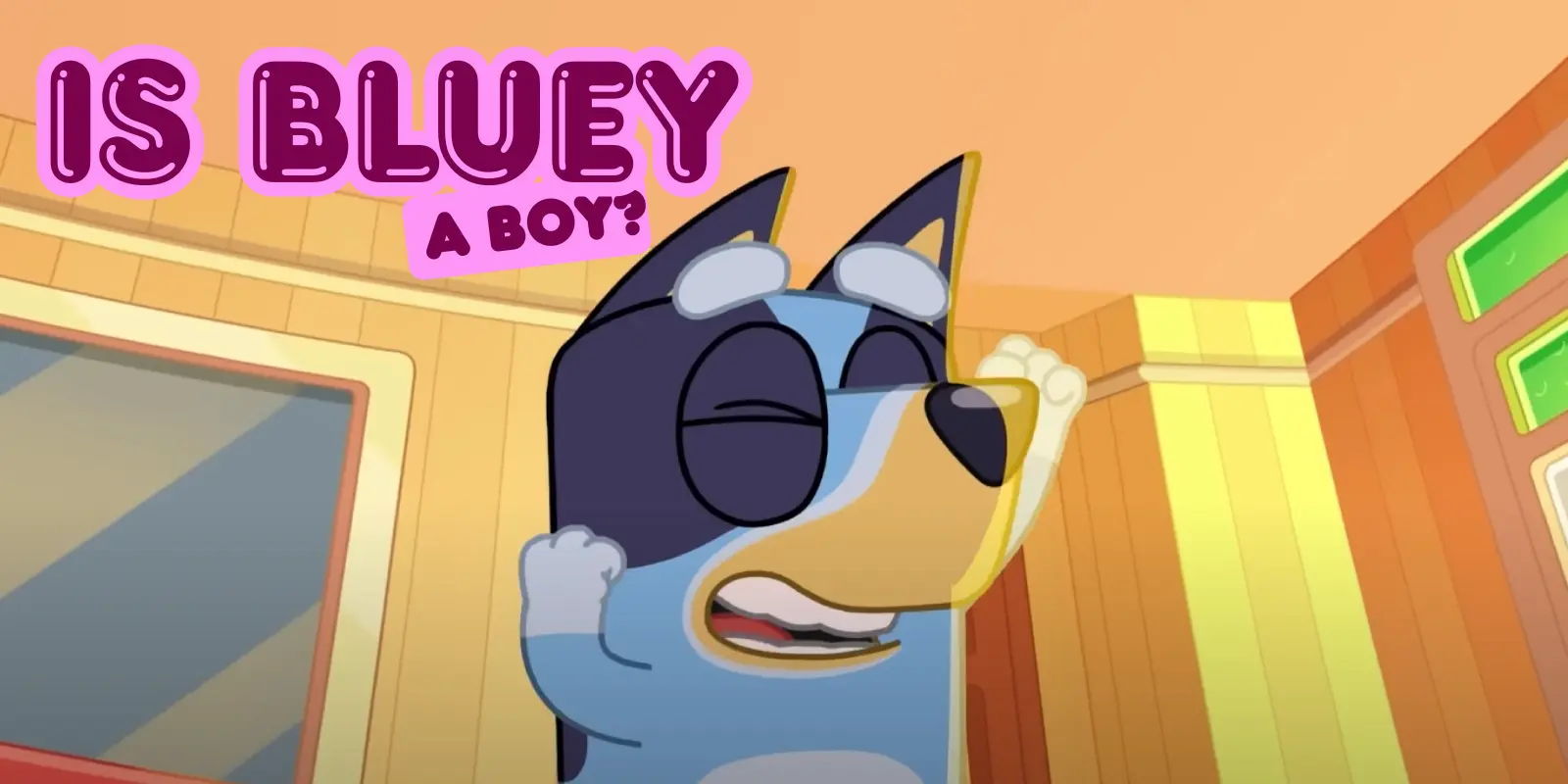 Is Bluey a Boy? Find Out the Truth About Bluey - Merchandise4All