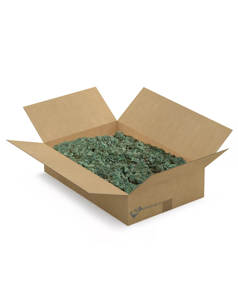 Rendiermos doos [L] Pine - Mosschilderij.nl