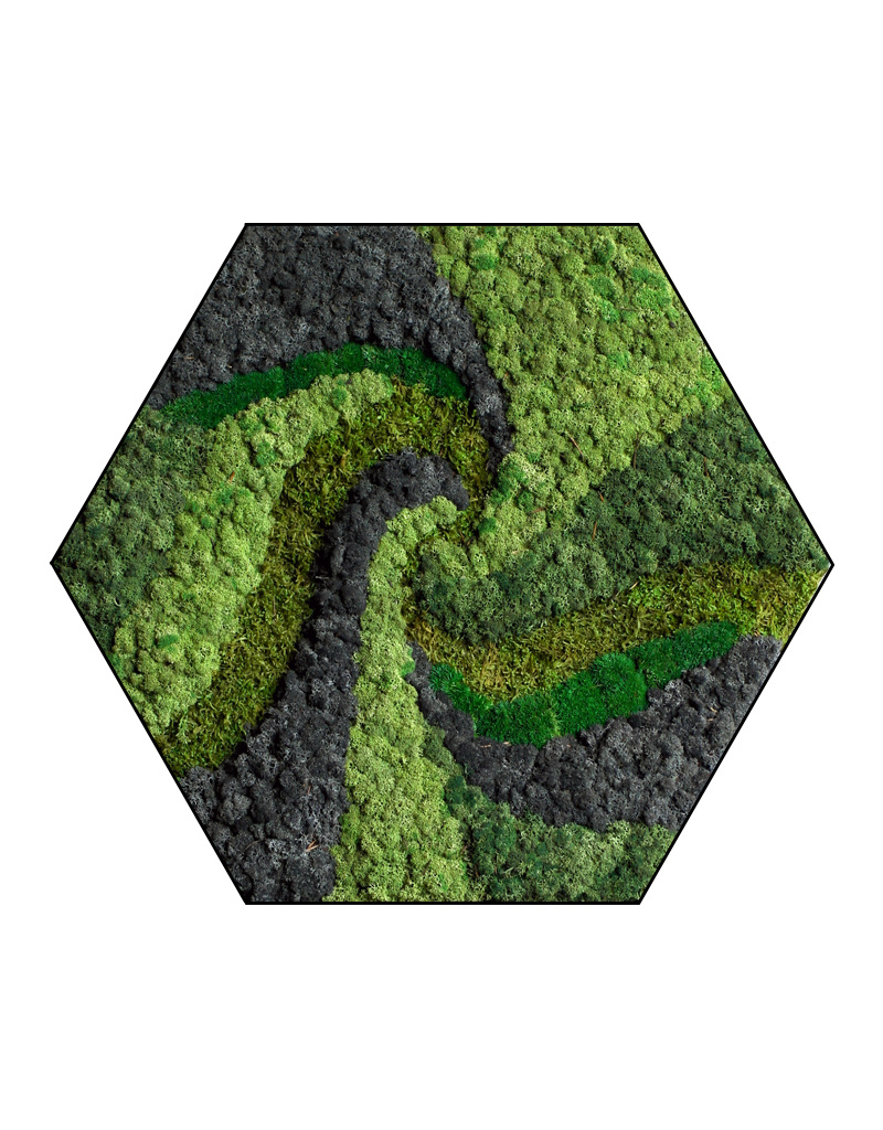 Moshexagon Twist - Mosschilderij.nl