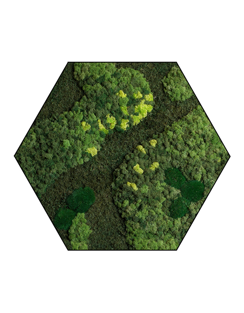 Moshexagon Oletta - Mosschilderij.nl