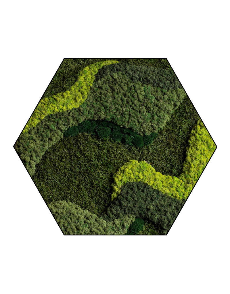 Moshexagon Walcum - Mosschilderij.nl