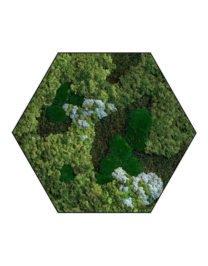 Mosshexagon Skye