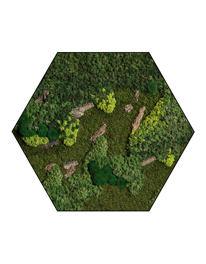Mosshexagon Kaiju
