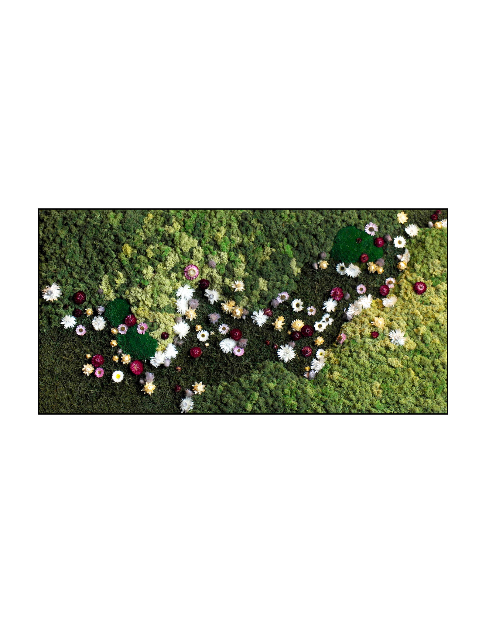 Moss rectangle Flora