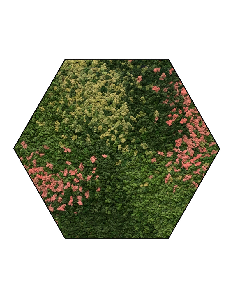 Moshexagon Arya - Mosschilderij.nl