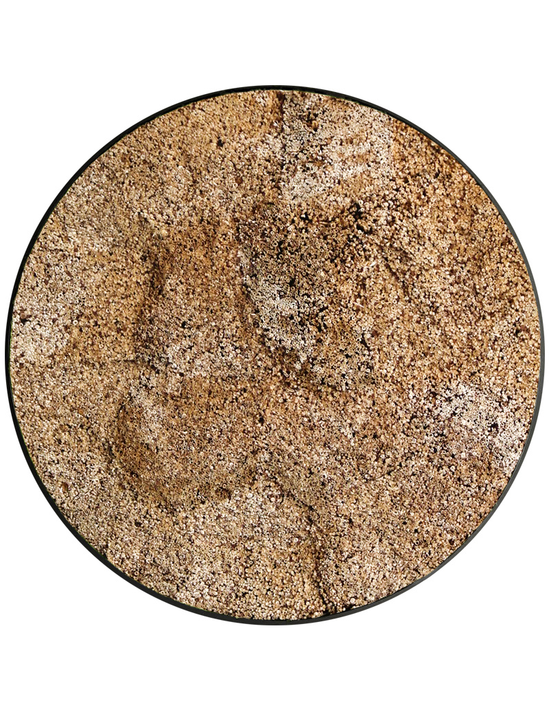 Reed circle
