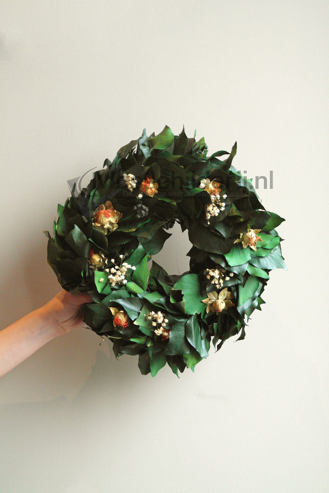 Hedera krans groen - Mosschilderij.nl