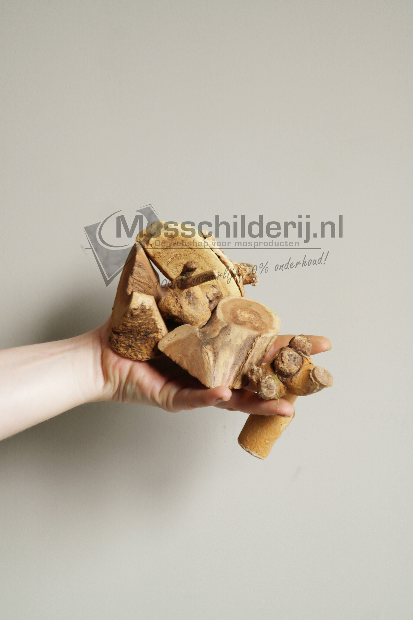 Kuwa hout brokken - Mosschilderij.nl
