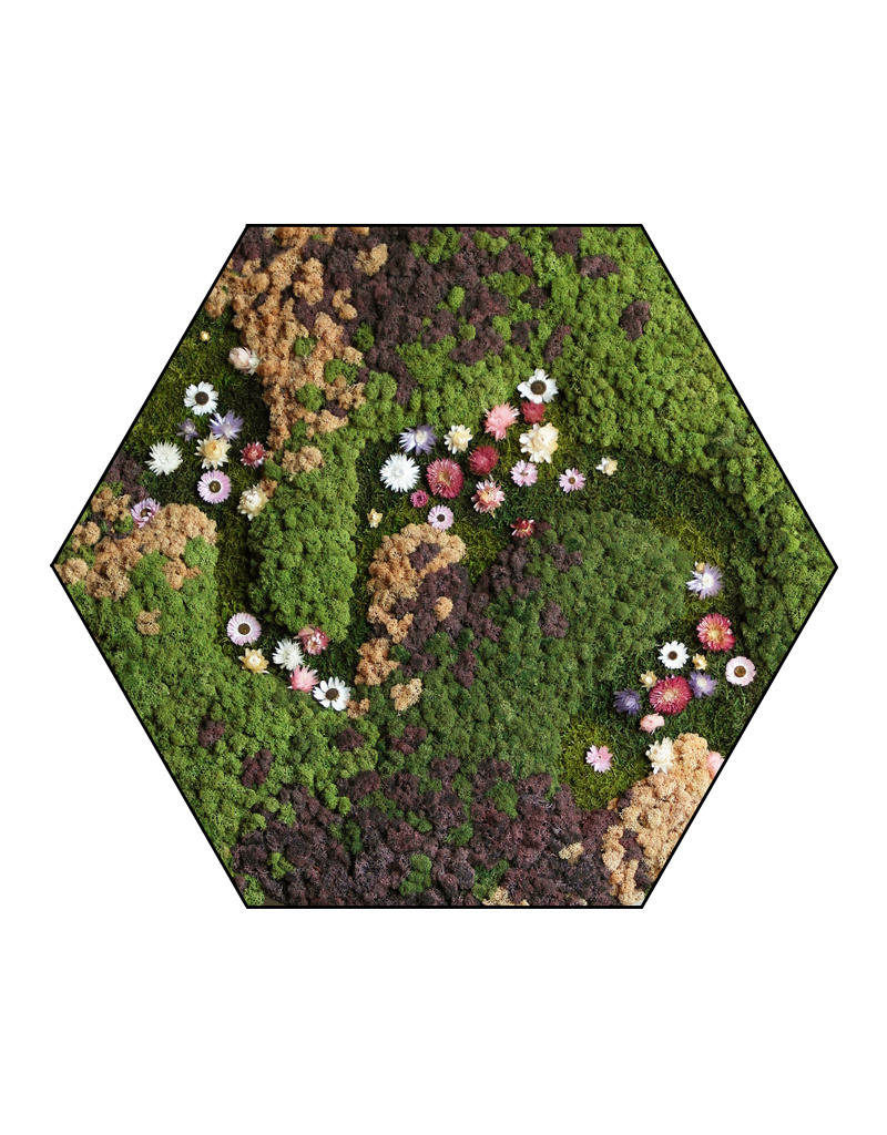 Moshexagon Jania - Mosschilderij.nl