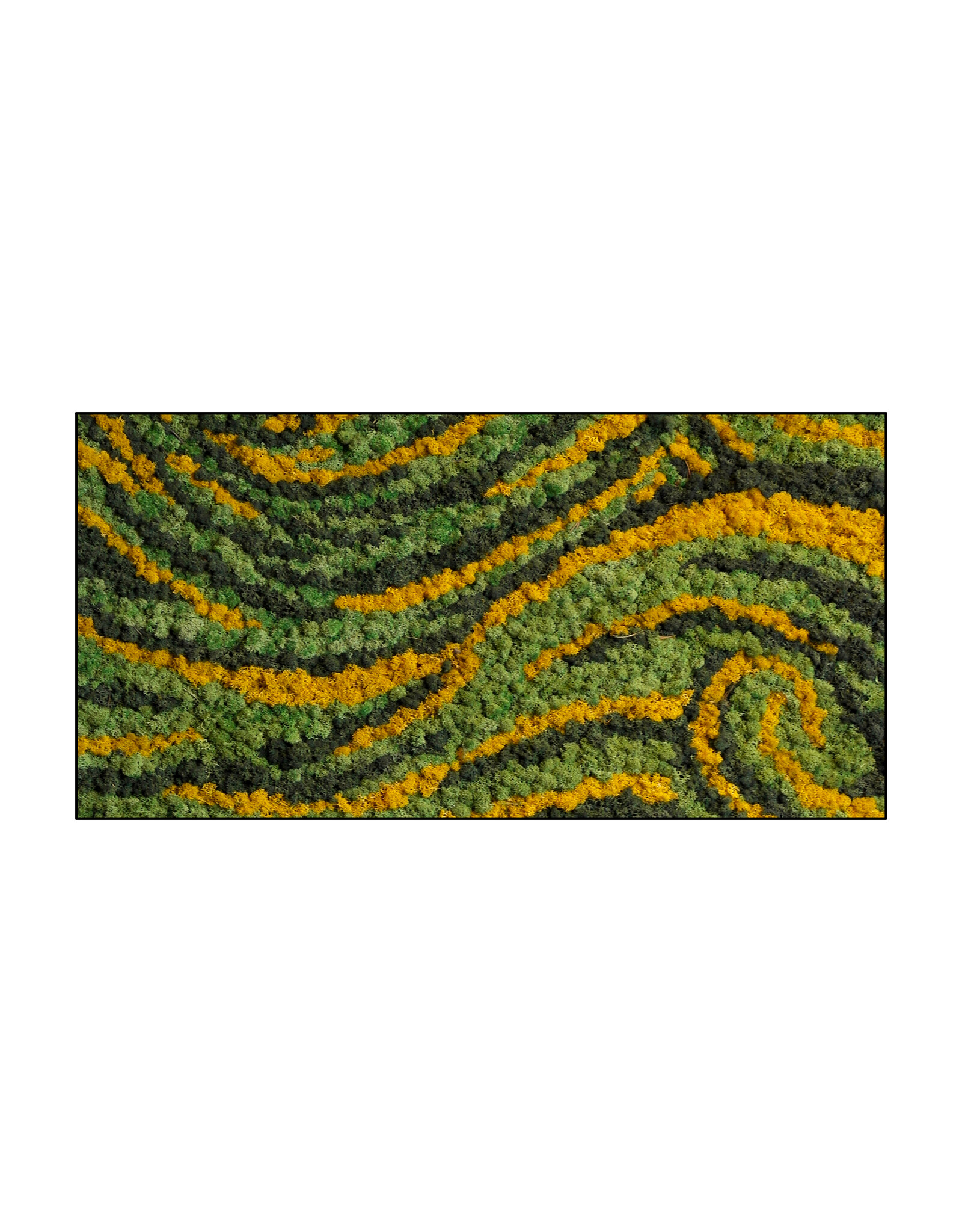 Moss rectangle Starry Night