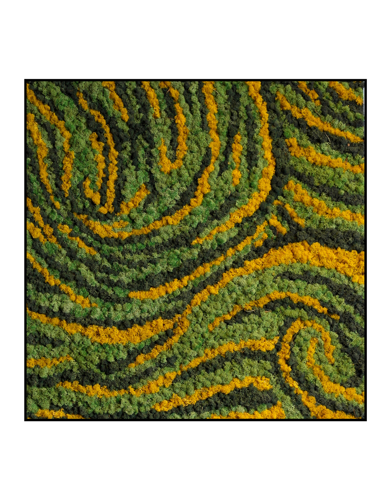 Moss square Starry Night