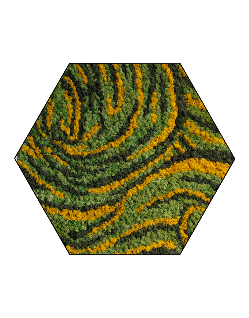 Mosshexagon Starry Night