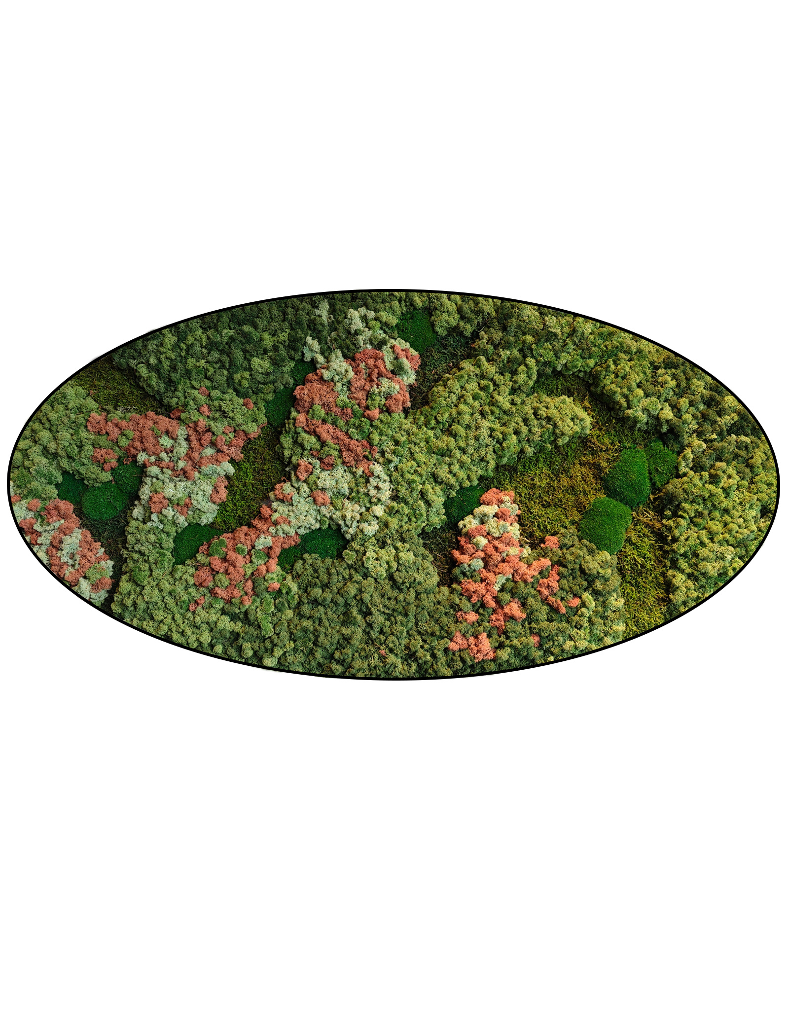 Moss oval Vienna