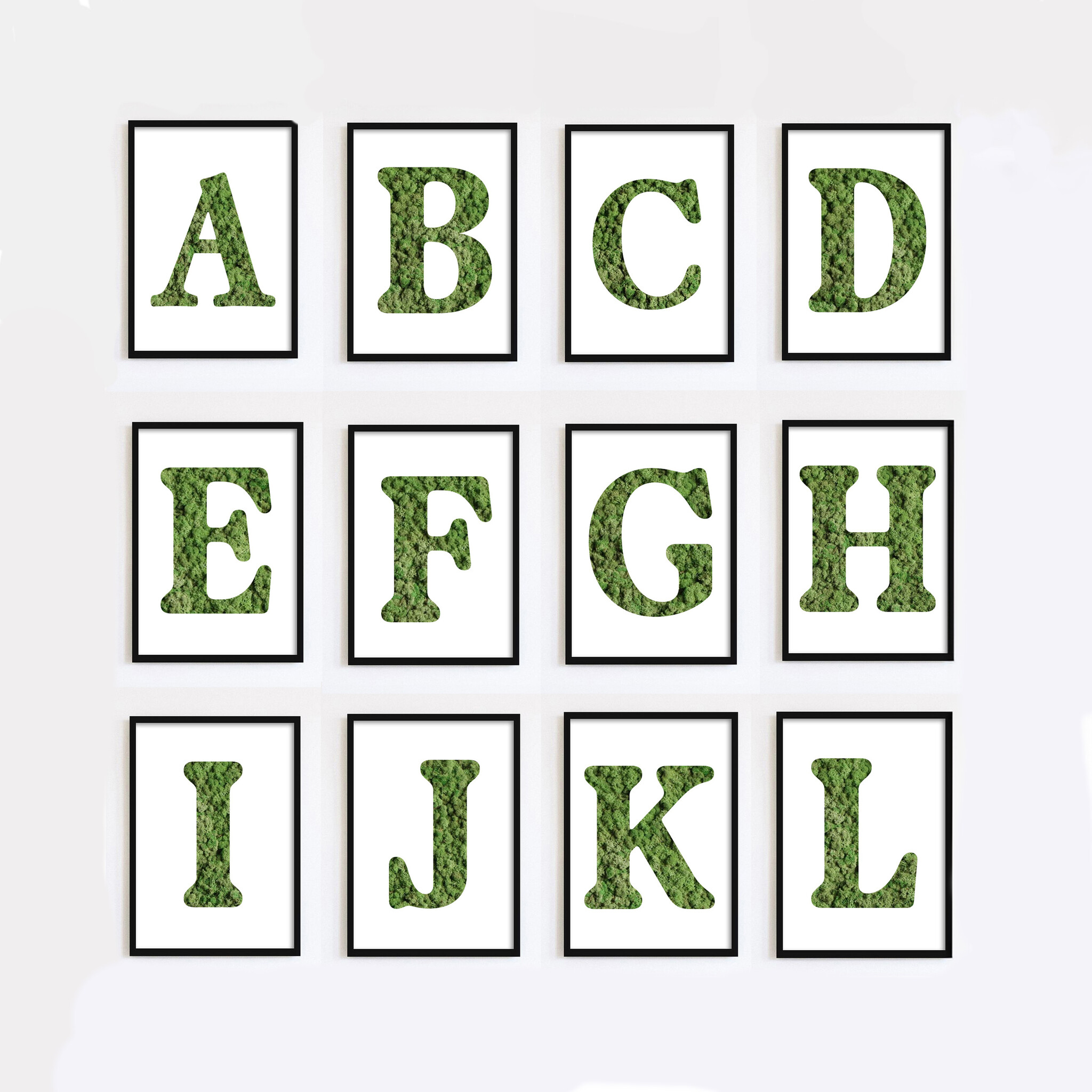Moss portrait letter