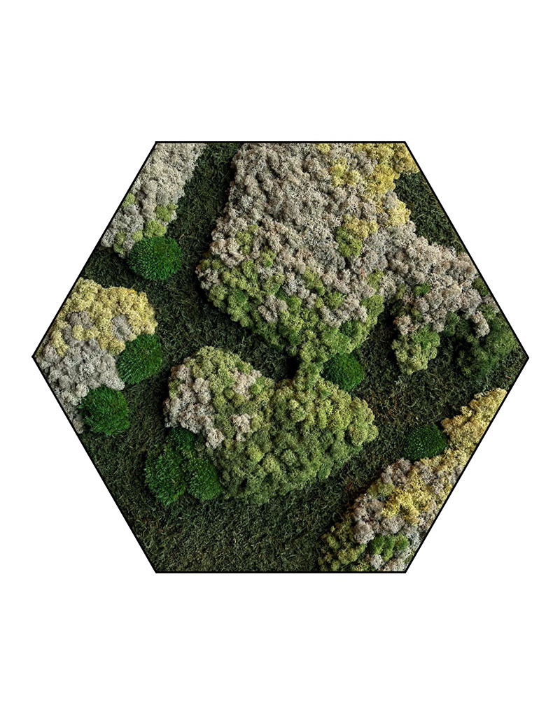 Mosshexagon Saar