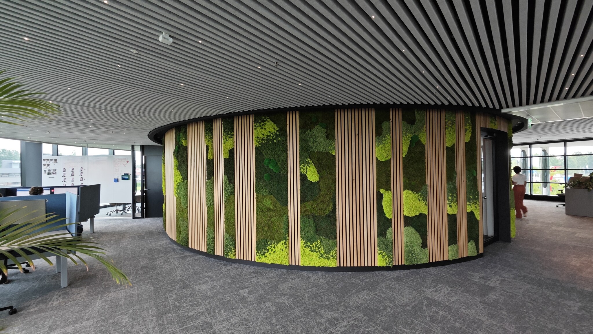 What is prepared moss?