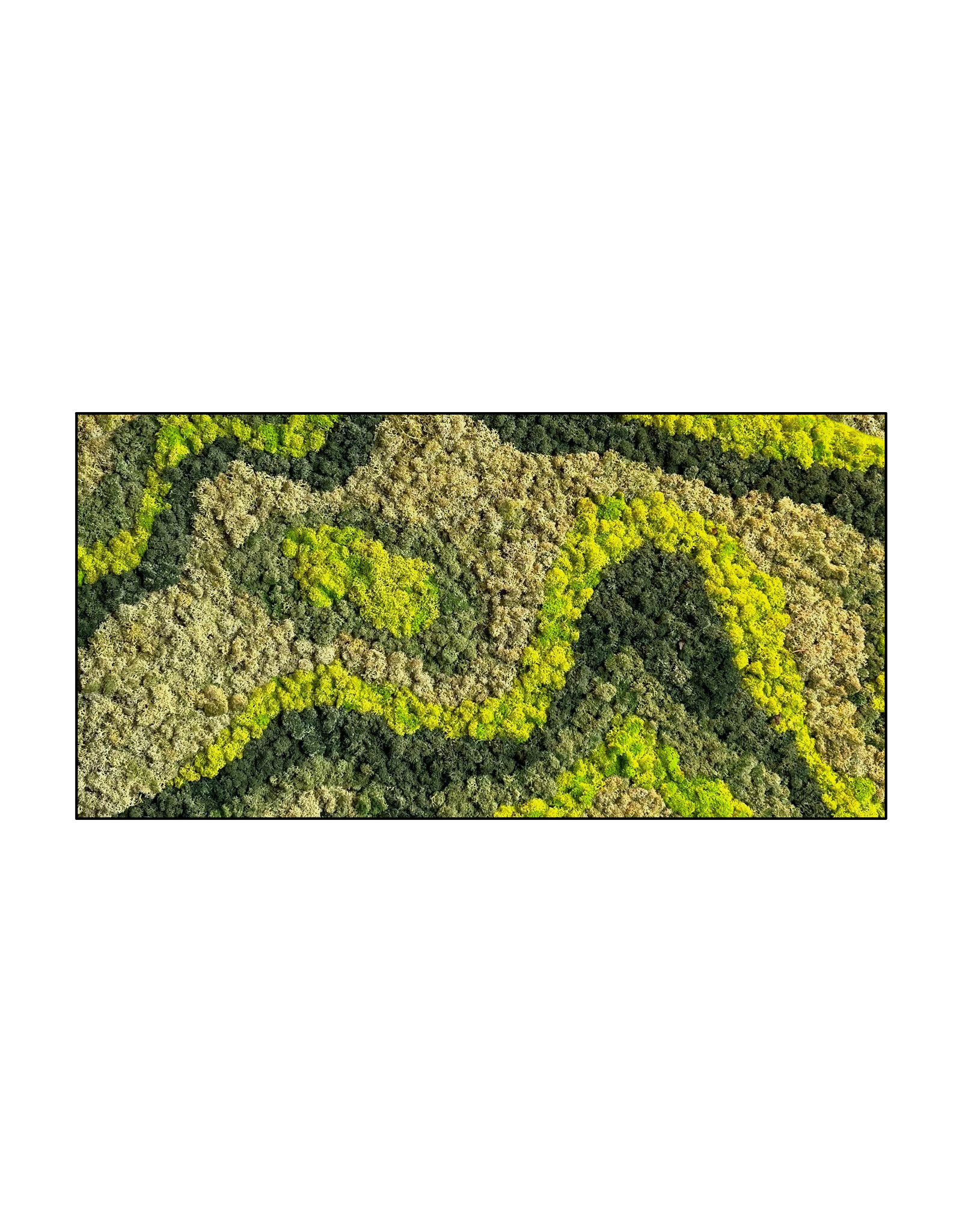Moss rectangle Organica