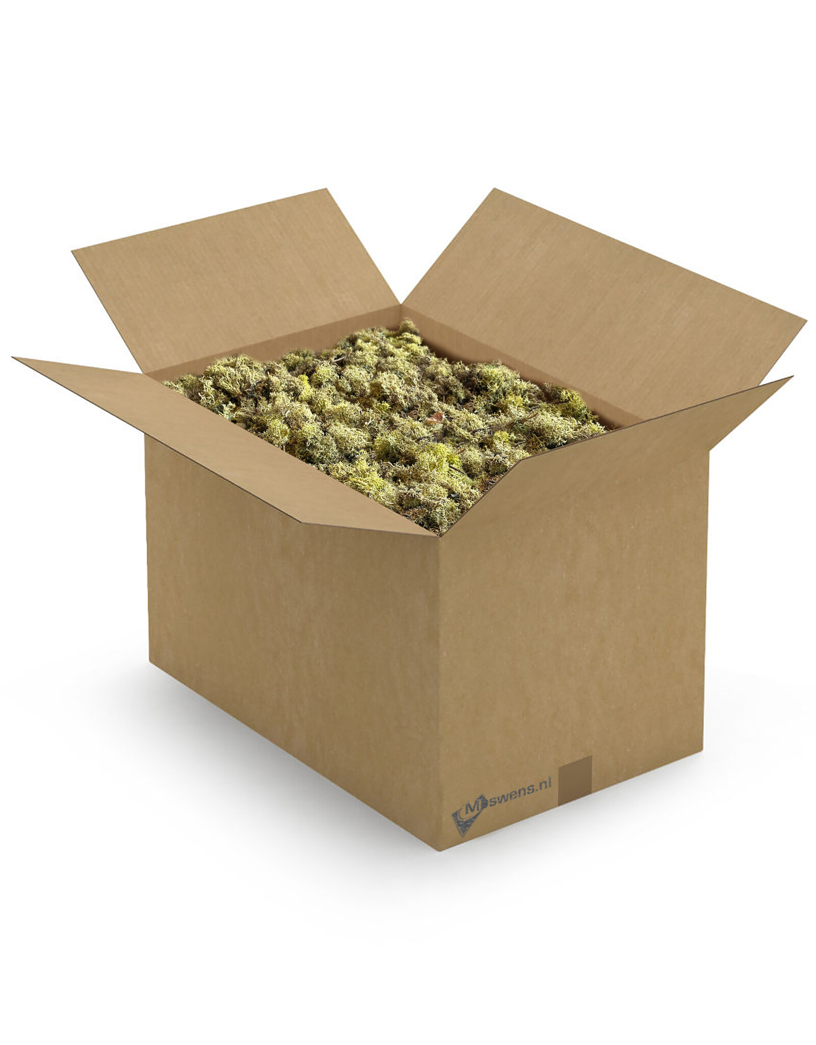 ECO moss Vetus | XXL box | the cheapest