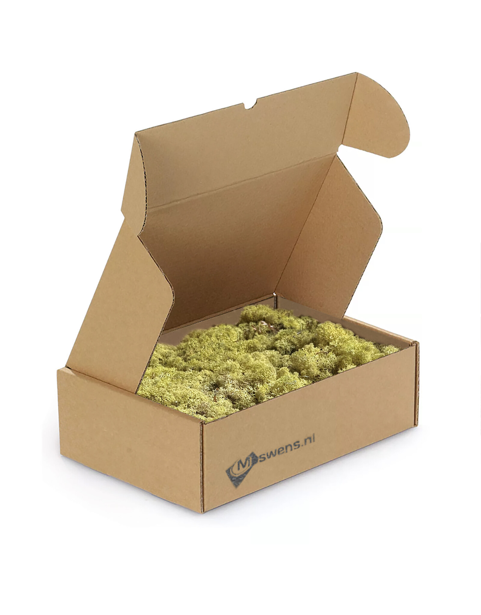 Reindeer moss box [M] Calma