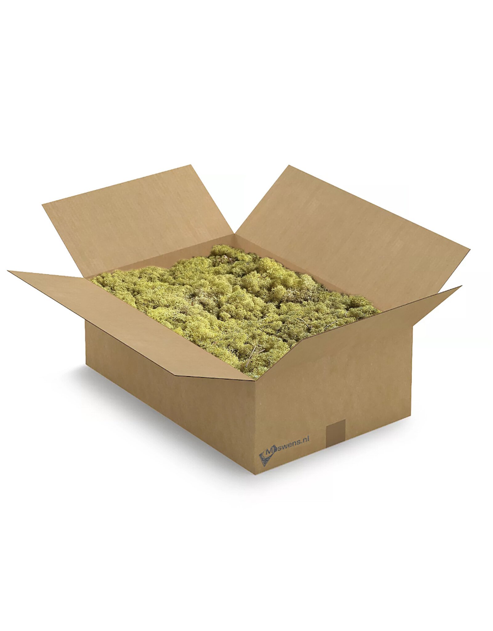 Reindeer moss box Calma