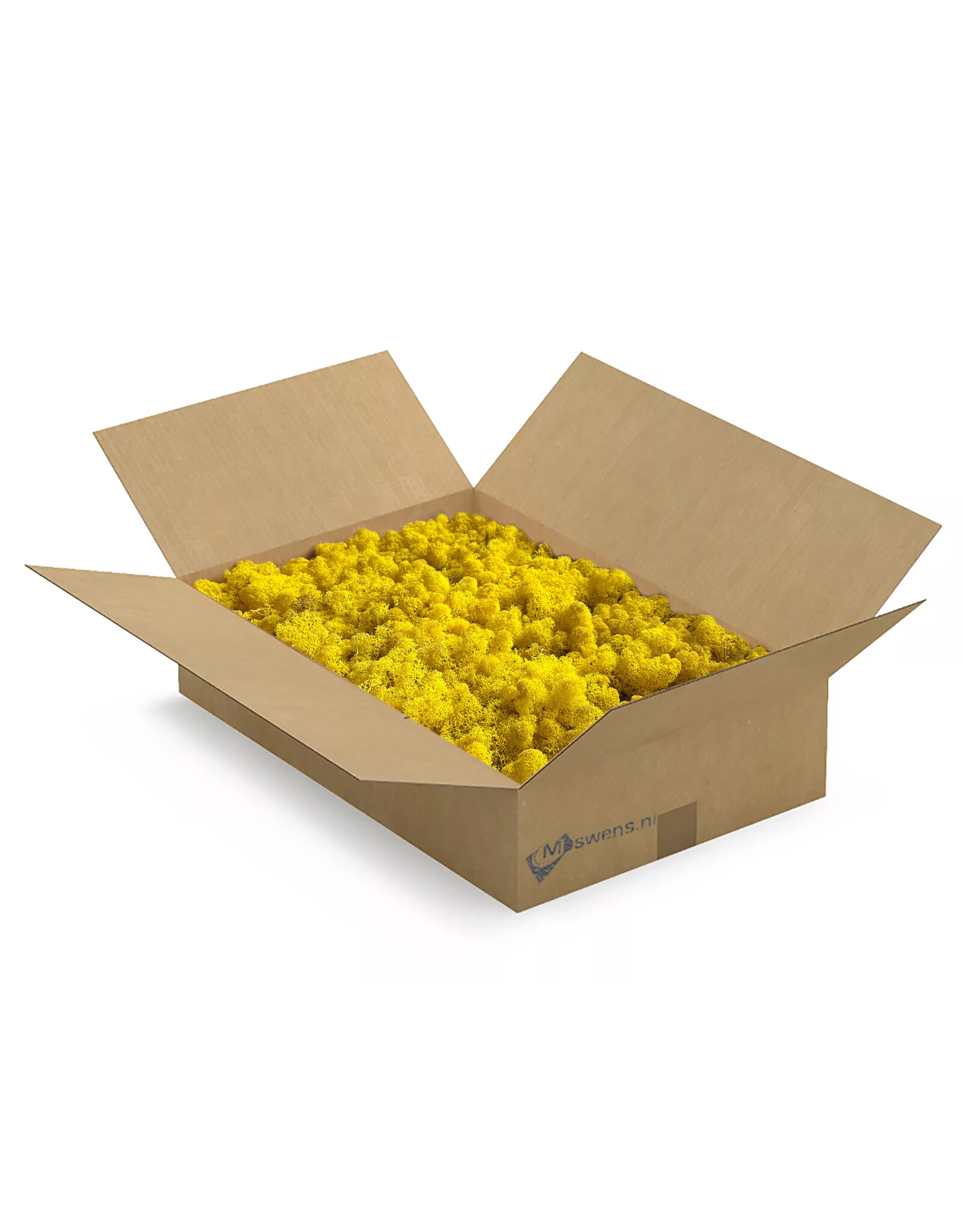 Reindeer moss box [L] Citrea