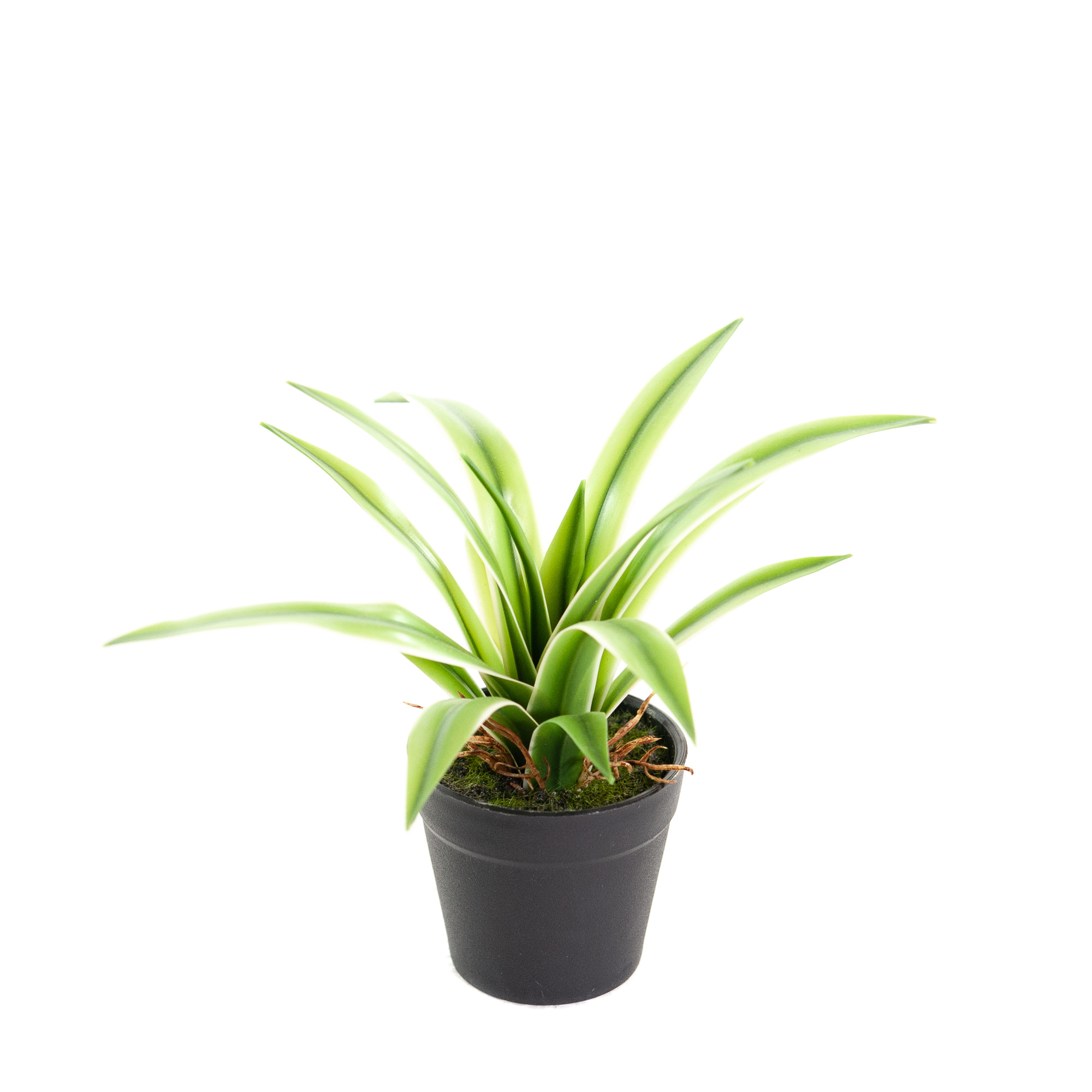 Kunst Mini Maguey Agave bont 18 cm - Coolplant