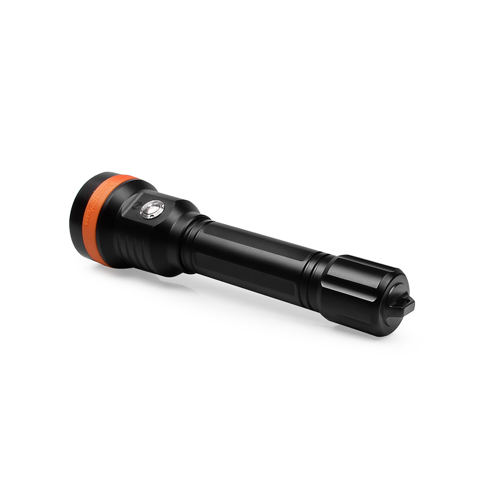 OrcaTorch D850 | Lucas Divestore