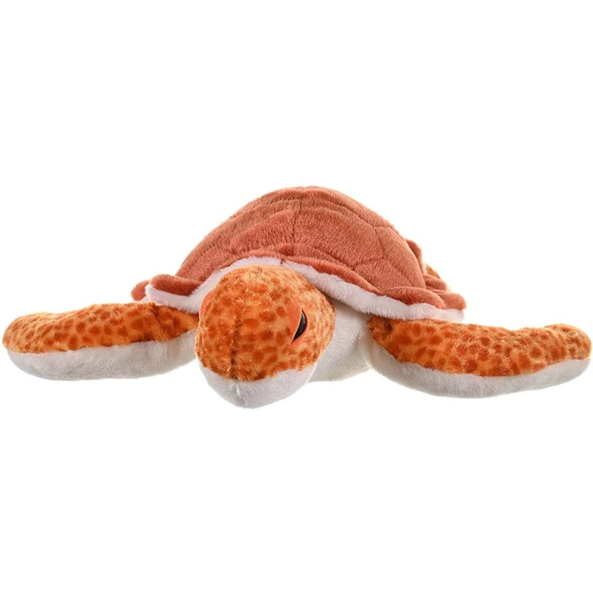 Wild Republic Loggerhead Turtle Stuffed Animal | Lucas Divestore