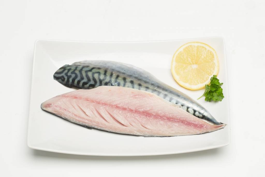 Makreel filet - Urker Vishandel Hakvoort