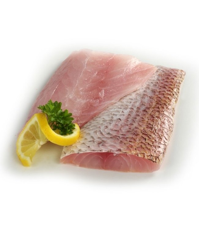 Red snapper filet - Urker Vishandel Hakvoort