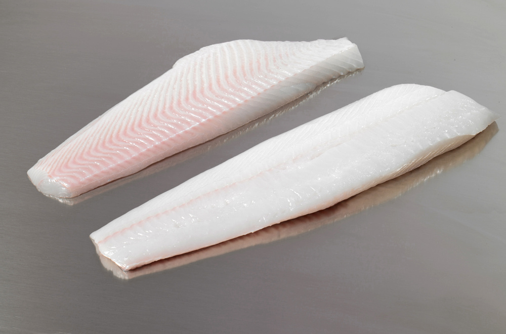 Heilbot filet met huid - Urker Vishandel Hakvoort