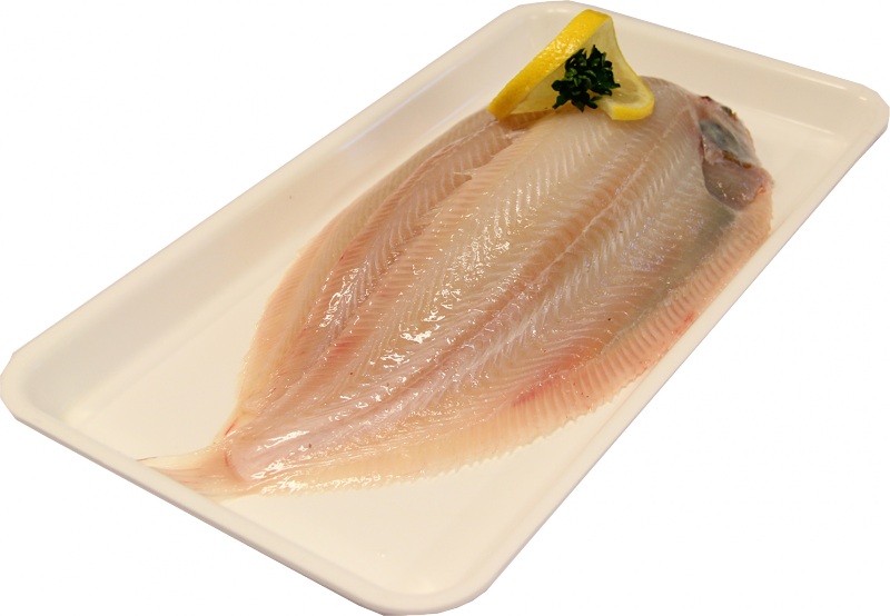 Sliptong zonder huid - Urker Vishandel Hakvoort - Urker Vishandel Hakvoort